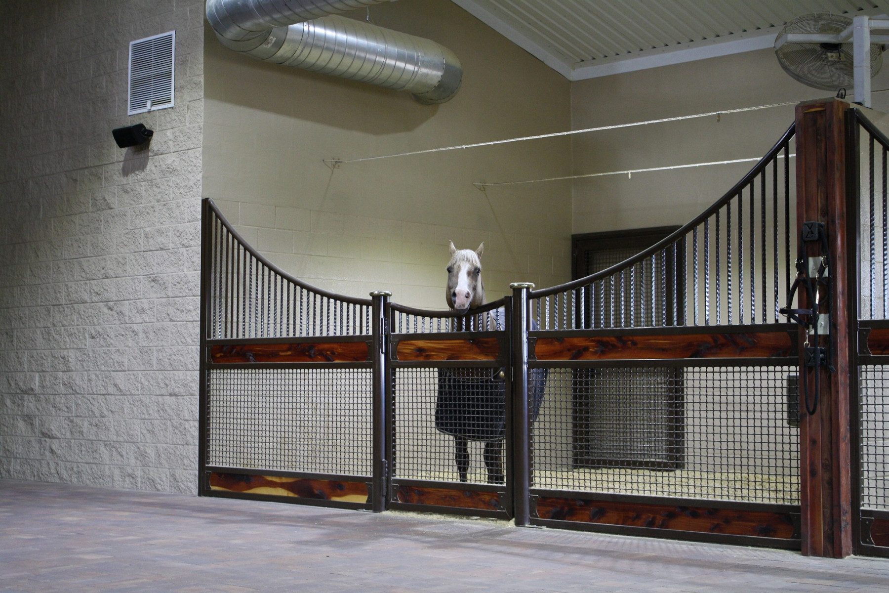 See The Gallery Of Images From Our Work - Rockin J Equine